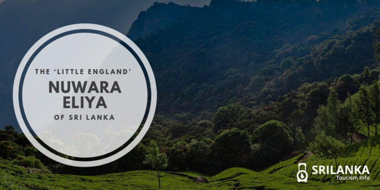 Sri Pada (Adam's Peak) - Guide to the Sacred Footprint