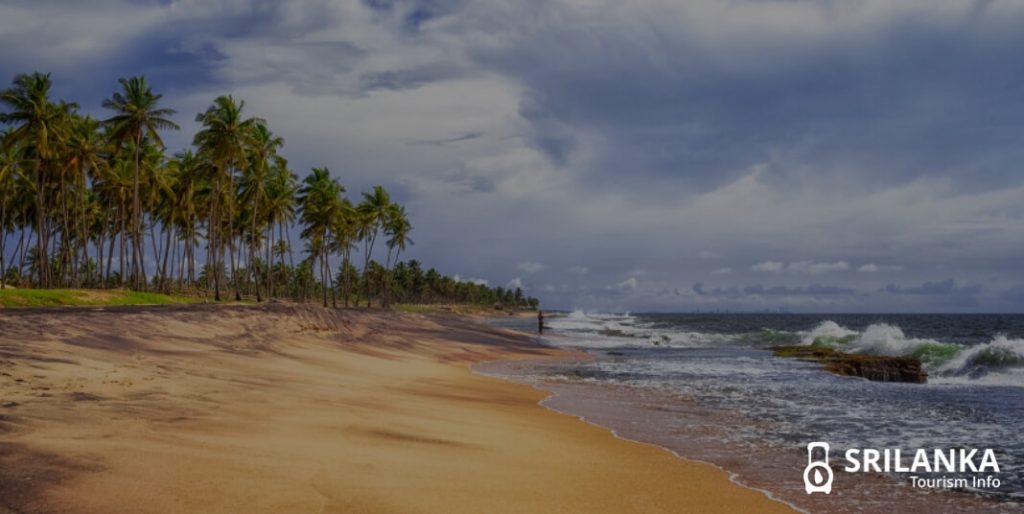 Here is why you should visit Negombo Beach in Sri Lanka at least once