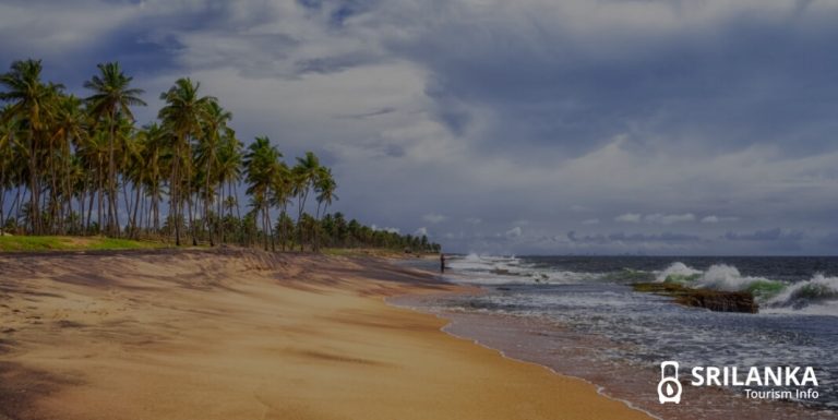 Here is why you should visit Negombo Beach in Sri Lanka at least once