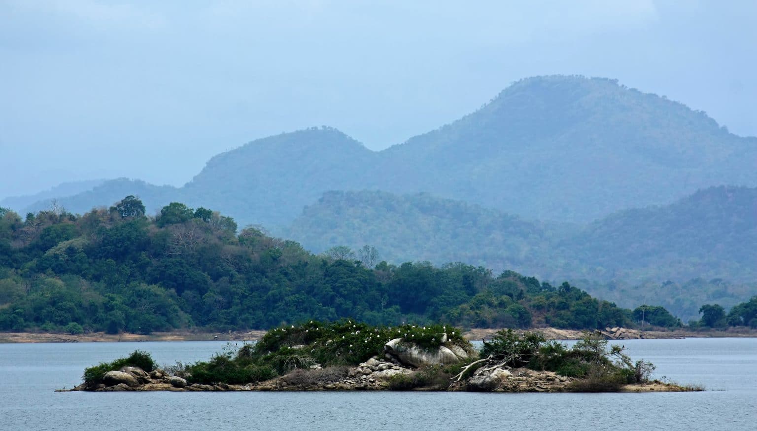 Immerse Yourself in Nature at the Gal Oya National Park